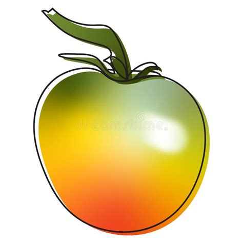 Tomato Yellow Green Green Tomato Background Vector Stock Vector