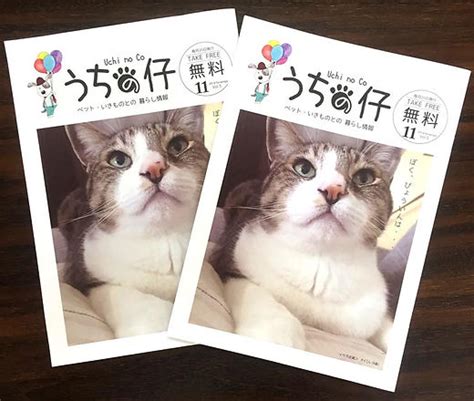 概要 うちの仔 ペットといきものとの暮らし情報 福島県郡山市