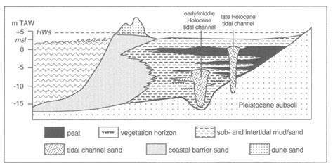 Schematic Cross Section Through The Sedimentary Sequence Of The Coastal Download Scientific