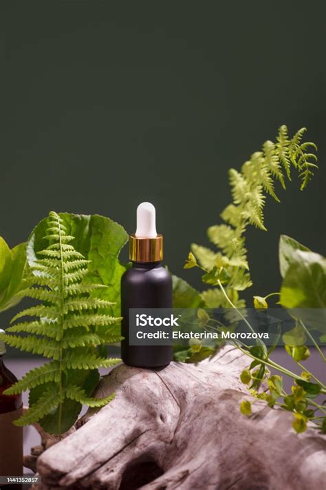 열대 잎과 나무가있는 녹색 배경에 피펫이있는 빈 호박색 유리 에센셜 오일 병 천연 유기농 화장품 개념 열대 스파 살롱 휴양지 셀프 케어 0에 대한 스톡 사진 및 기타 이미지