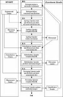 Experimental Workflow Shared Information And Actors Of Microarray
