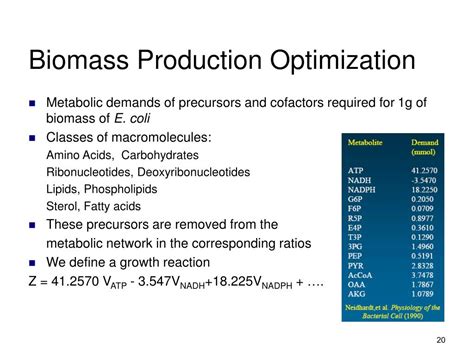 Ppt Constraint Based Modeling Of Metabolic Networks Powerpoint Presentation Id437414