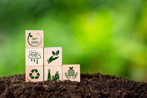 Net Zero Greenhouse Gas Emissions Reduction With Carbon Credit Concept Reduce Carbon Dioxide E