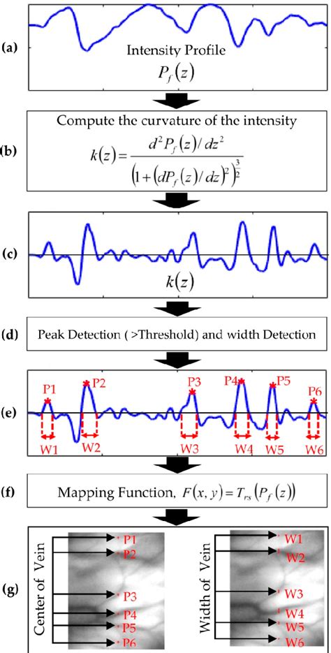 Figure 11 From Vein Pattern Verification And Identification Based On
