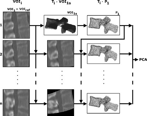 Figure 1 From Automated Construction Of 3 D Statistical Shape Models