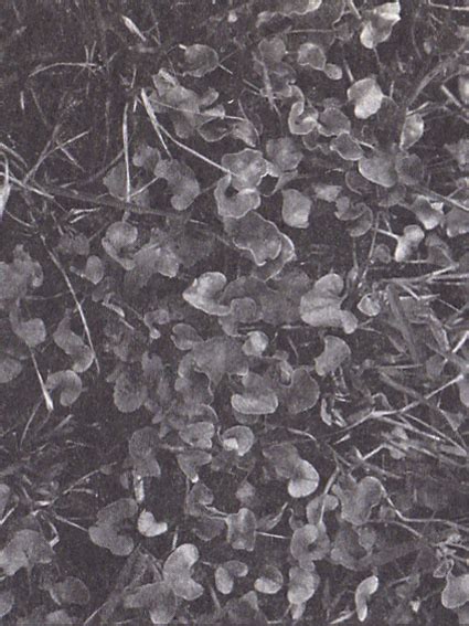 Términos Apmtm