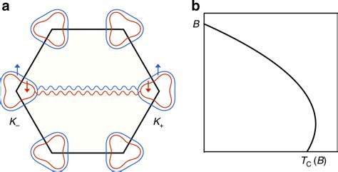 Spin Triplet Superconductivity A Triplet Paring Between Opposite