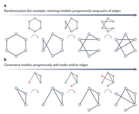 Null Models In Network Neuroscience Csdn博客 Null Models In Network Neuroscience Csdn博客