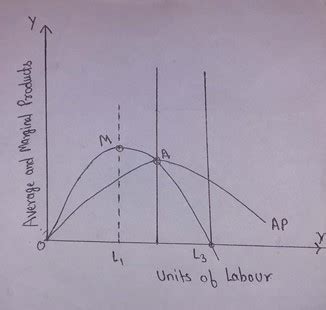 Law Of Returns To Factor And Returns To Scale Class MCQs Economics