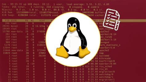 120 Hands On Linux Terminal Commands For Absolute Beginners