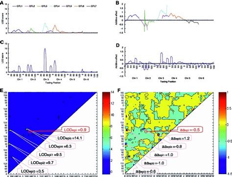 Additive And Epistatic Qtl Mapping Of Mim And Icim Using One Simulated