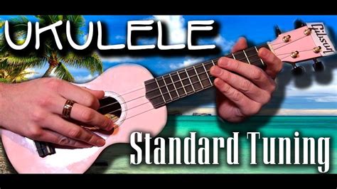 Ukulele Chords Tuner At Ali Gallard Blog