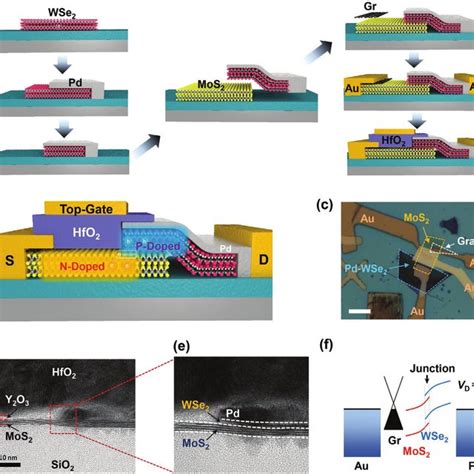 A Schematic Of A Traditional Mos 2 Wse 2 Heterostructure Device B Download Scientific