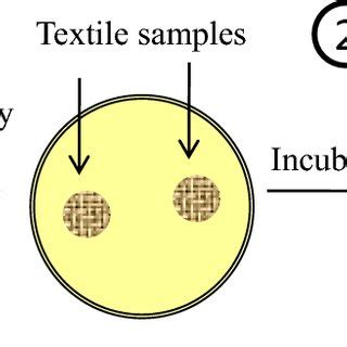 Fabric Disk Diffusion Assay 1 Spreading Of Test Bacterial Culture Or Download Scientific