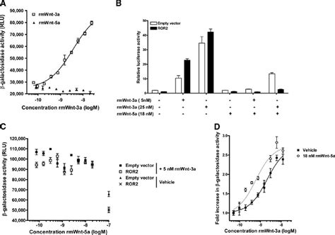 β‐galactosidase Enzyme Fragment Complementation For The Measurement Of Wnt β‐catenin Signaling