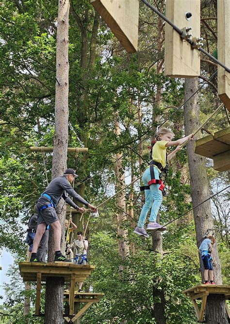 CastleWood Treetop Adventure Fun Outdoor Treetop Adventure Course In