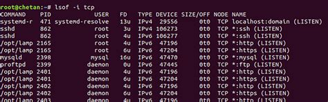 verificando portas usando ss netstat lsof e nmap