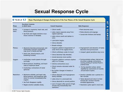 Ppt Sexual Arousal And Response Powerpoint Presentation Free