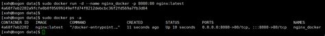 Docker离线部署Nginx 熊仔其人 博客园