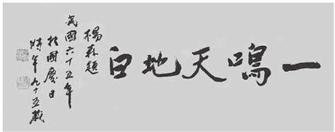 杨森 只恨岁月催人老 知乎