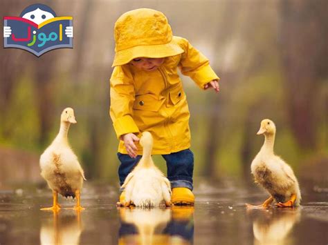 فعالیت‌ هایی برای آشنایی کودکان پیش دبستانی با حیوانات کاربرگ