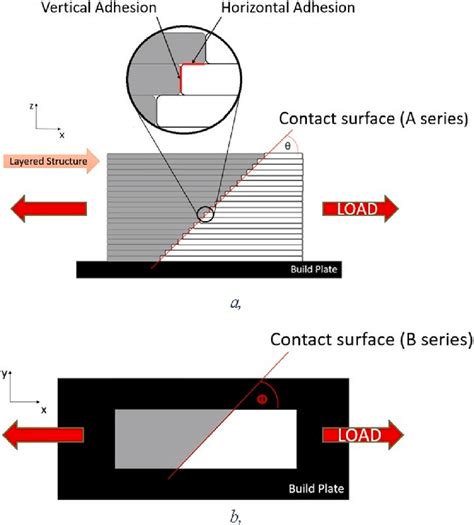 Platform Adhesion Types At Hamish Riddoch Blog