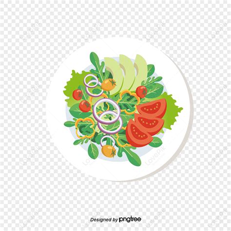 실제 사진 샐러드 일러스트그래픽상표요리 Png 일러스트 무료 다운로드 Lovepik