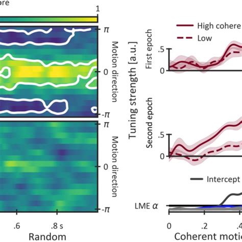Population Tuning Modelling Of Neural Activity In Response To Targets