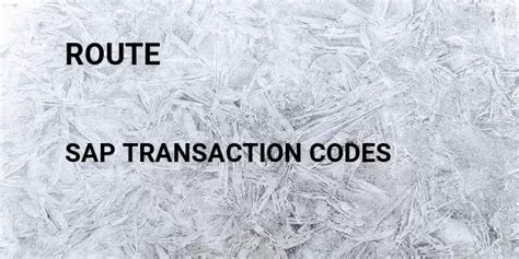 route tcode in sap transaction codes list