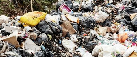 Everything You Need To Know About Garbage Disposal Services