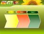Sunflower Presentation Template For PowerPoint Google Slides And Keynote PPT Star
