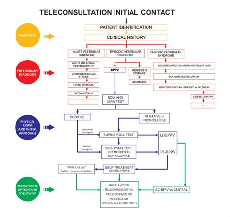 Flowchart Of Otoneurological Management For Bppv Patients By Means Of Download Scientific