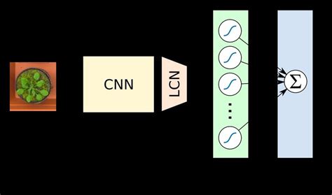 Graphic Representation Of The Multi Output Regression And The Sumlayer