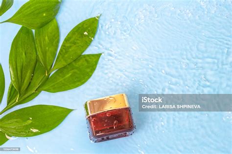 선스크린 크림 Spf 로션은 수영장의 푸른 물 표면에 녹색 잎과 태양에서 피부를 치료 상단보기 컨셉 자외선 보호 여름 화장품 천연 유기농 미용 제품 0명에 대한 스톡 사진