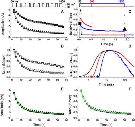 Persistent Of Rate Dependent Decrease Of Outward Currents At Maximum