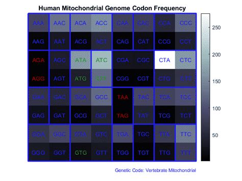 Matlab In Biology Importance And Applications In Detail