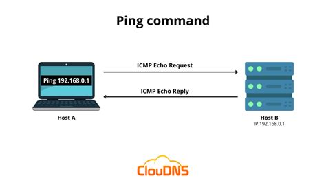What Is Ping Command And How To Use It ClouDNS Blog