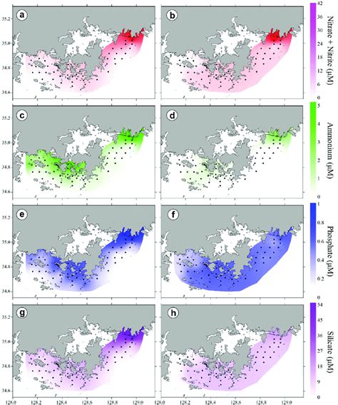 Horizontal Distributions Of Inorganic Nutrients Nitrate Nitrite