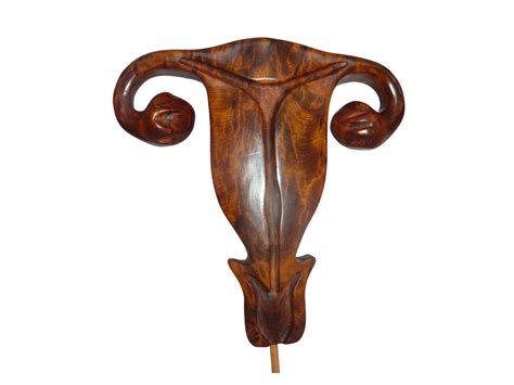 Uterus Sex Art Anatomy Art Female Reproductive System Obgyn Art Gynecologist Wooden T