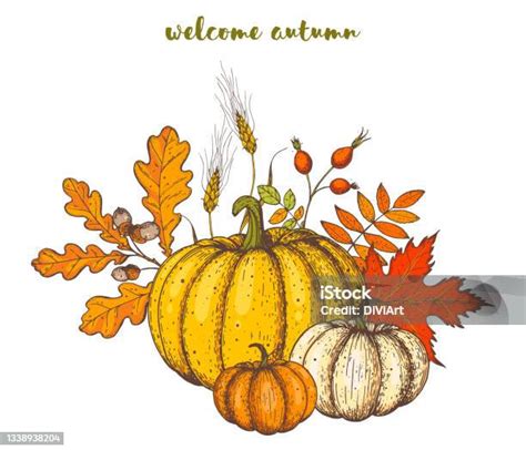 호박과 가을 꽃다발 추수 감사절 디자인 템플릿 안녕하세요 가을 일러스트 수확 축제 가을 잎 호박손으로 그린 프레임 다채로운 일러스트레이션 잎에 대한 스톡 벡터 아트 및 기타