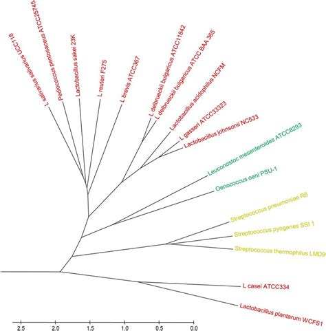 Figure A1 Functional Distribution Tree Of 17 Closely Related Taxa