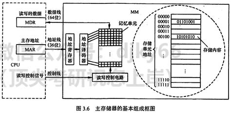 【计算机组成原理·考研】主存储器 交叉存取度 csdn博客