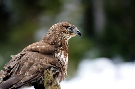 Why Choose Сoddytech As Your Programming Learning Platform By Ziv