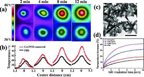Atemperature Increment Thermographic Images And Btemperature