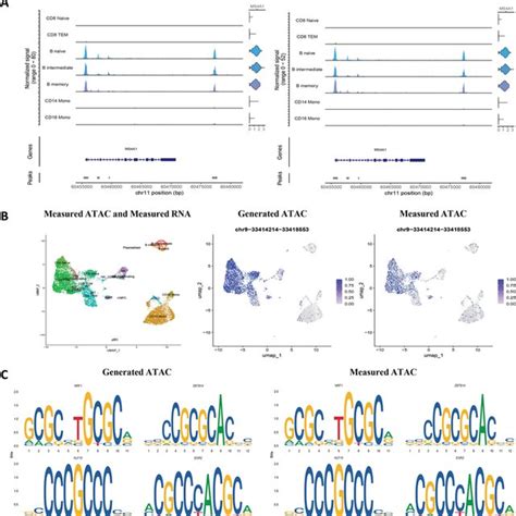 Generated Chromatin Accessibility Profiles Exhibit Good Performance In