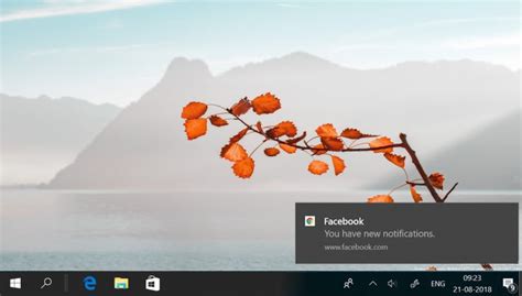How To Turn Chrome Native Notifications On Or Off In Windows WinBuzzer