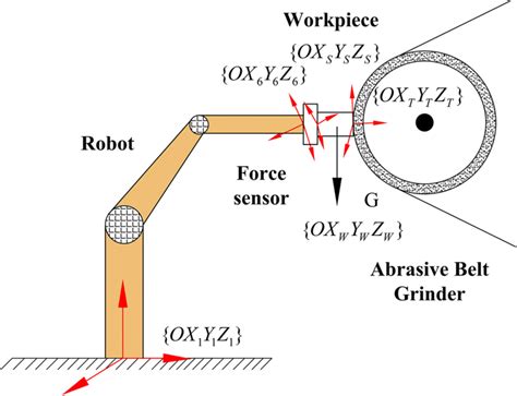 The Relationship Of Contact Force Perception Download Scientific Diagram