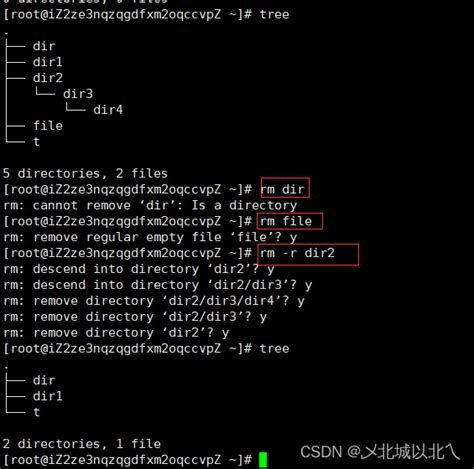 Linux基础指令含英文注释linux注释 Csdn博客