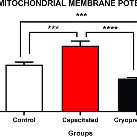 Mitochondrial Membrane Potential Of Of Non Capacitated In Vitro Download Scientific Diagram
