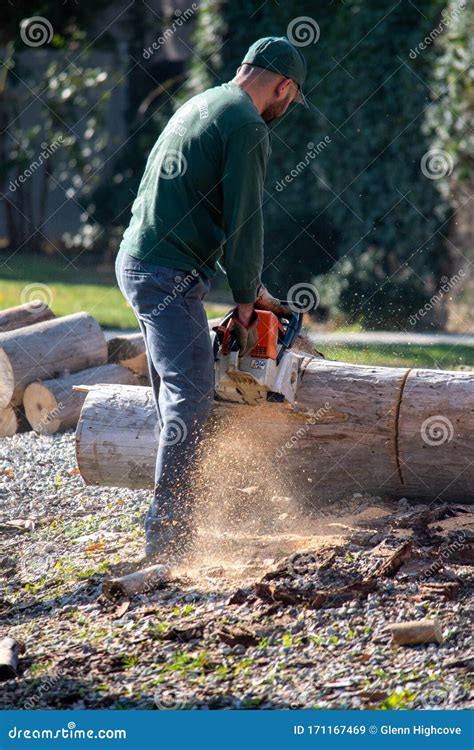 A Tree Trimmer Worker From Artist Tree Service Uses A Chainsaw To Cut
